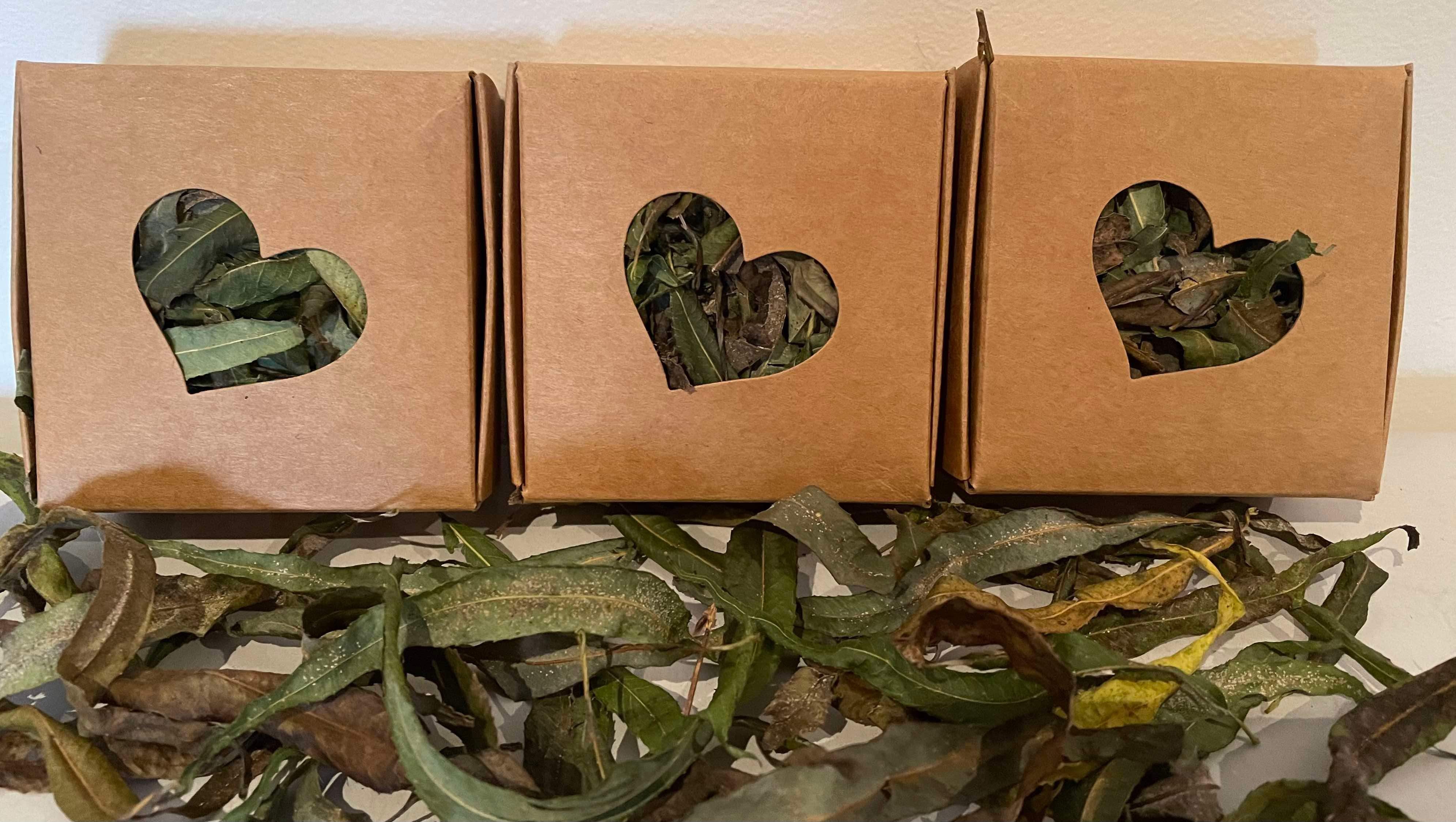 Forage Box Willow Leaf – The Binky Collective