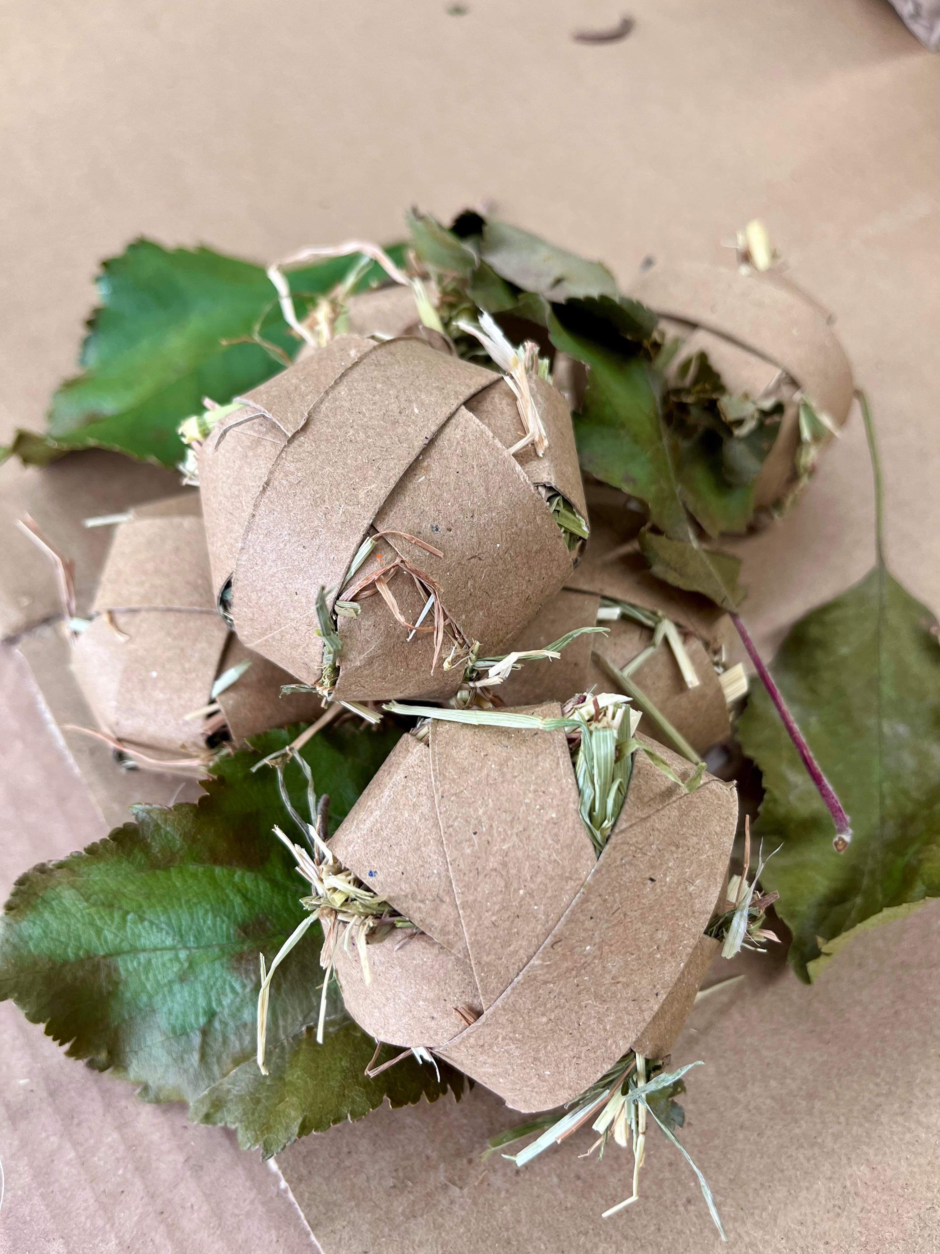 The Binky Collective