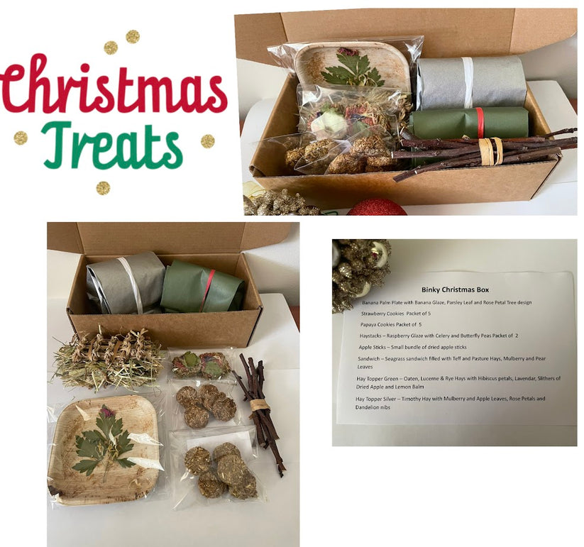 A Very Binky Christmas Box – The Binky Collective